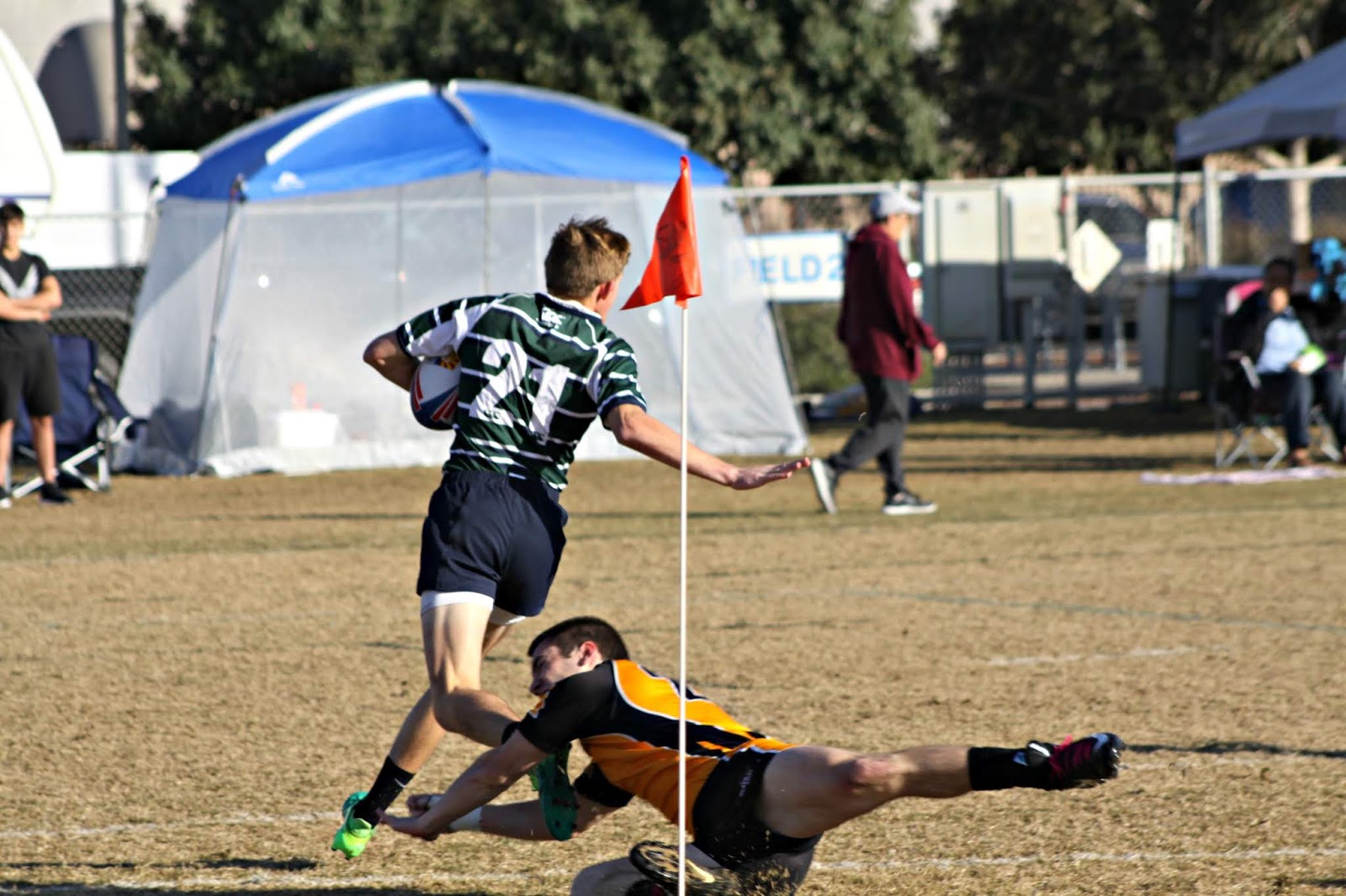 Snapshots of Te Mana Rugby: 2019