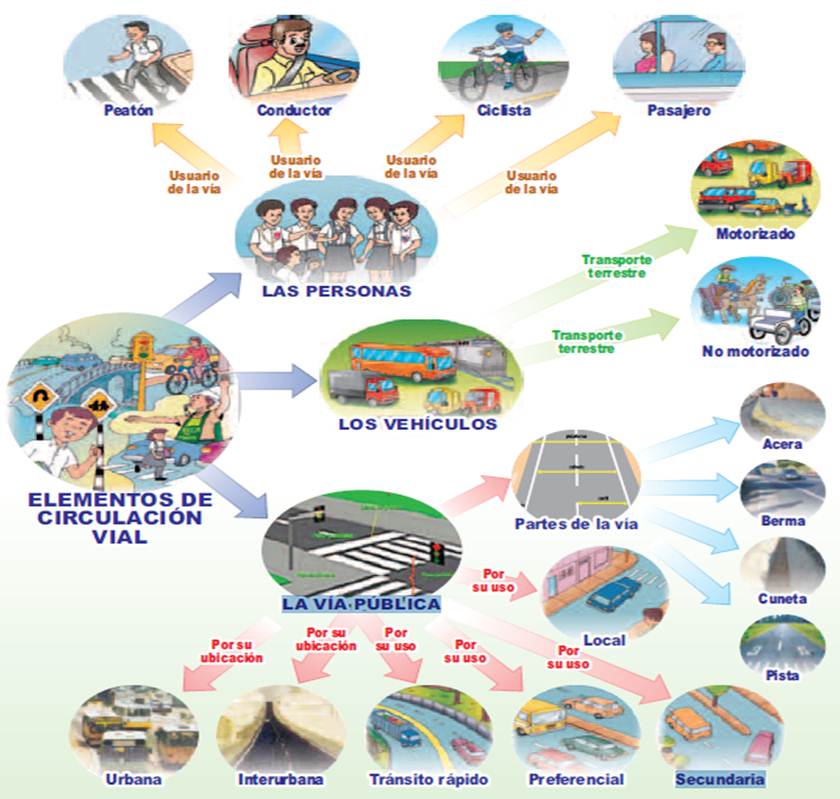 Elementos de la circulación vial | Cívica