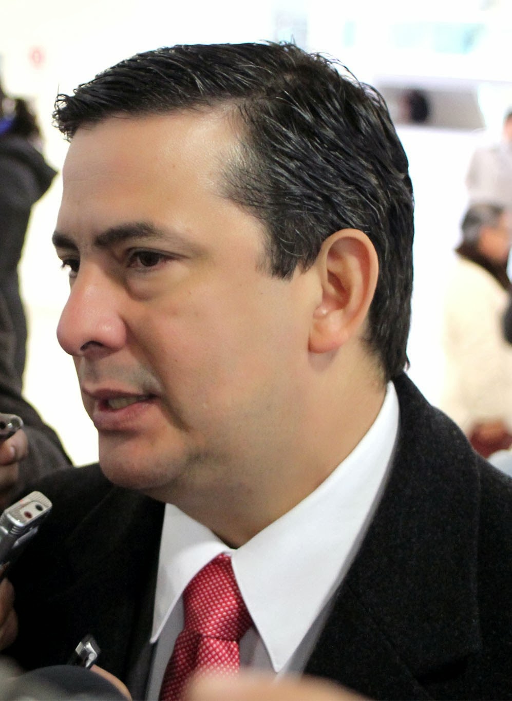 MUNDILLO POLITICO: 30 ene 2014