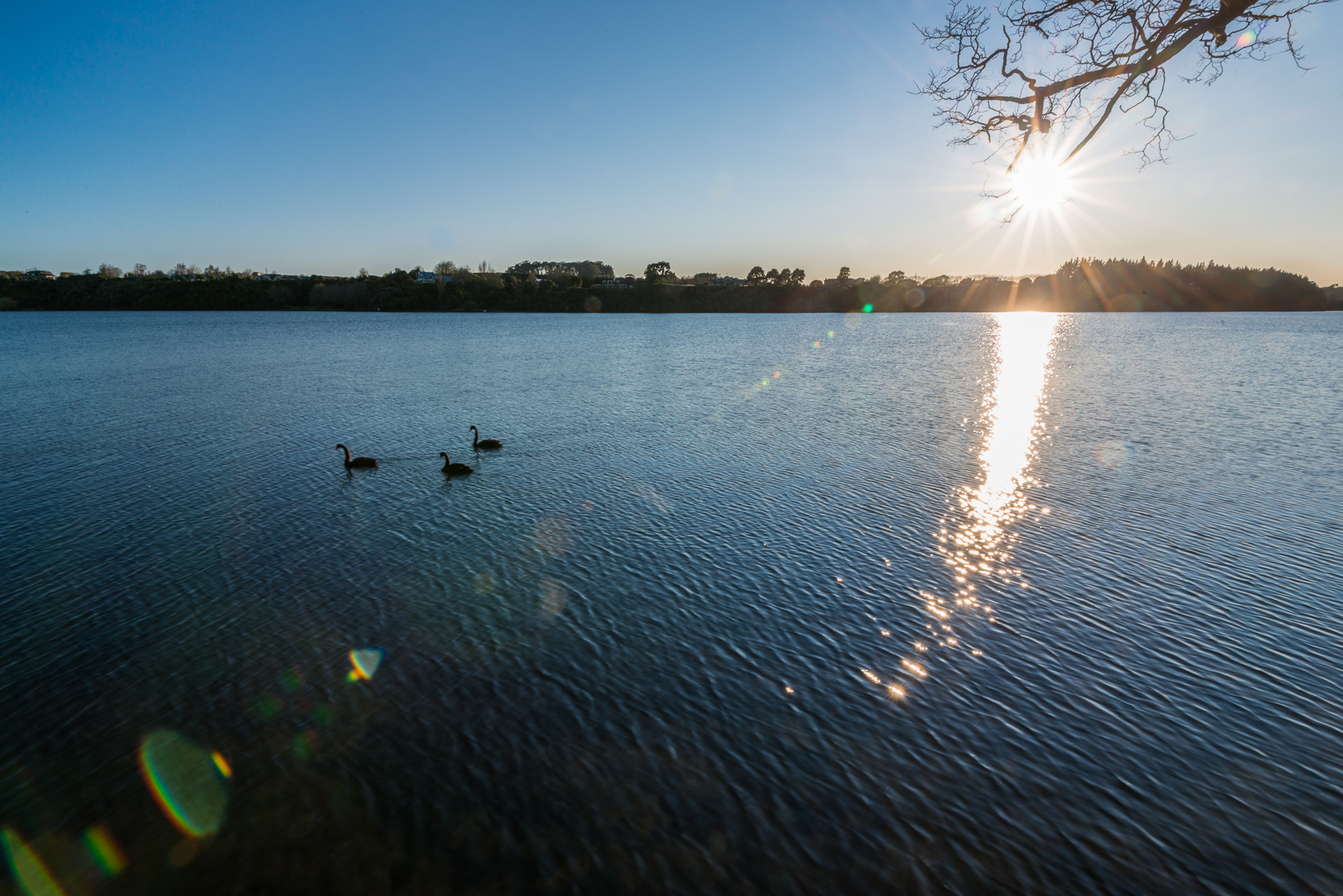 Down at the Lake {Lake Karapiro, Waikato landscape photography} | the ...