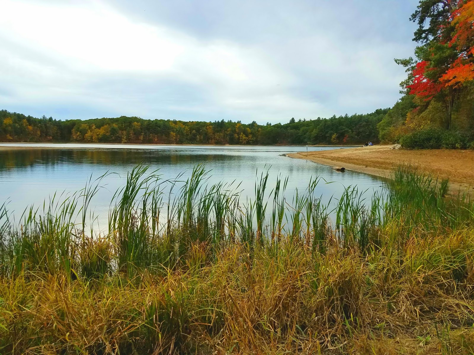 Smoky Scout's Hiking Adventures: Walden Pond