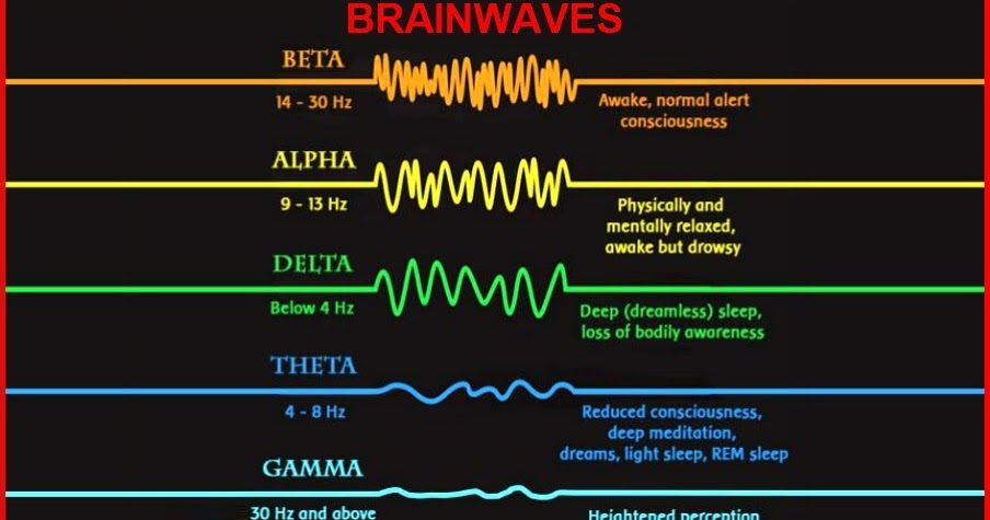 Viva La Ghash!: The Stages of the Sleep Cycle