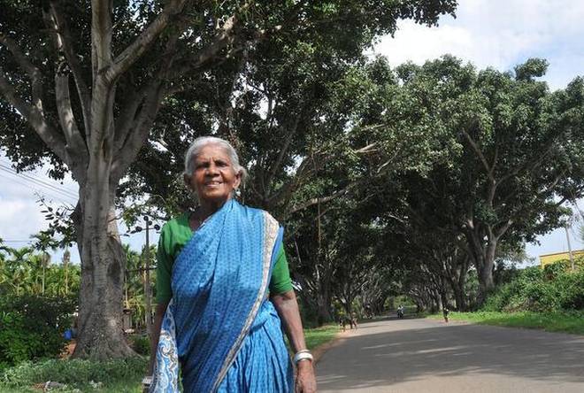 Saalumarada Thimmakka - The Mother to More Than 8000 Trees - तरुमहिमन्