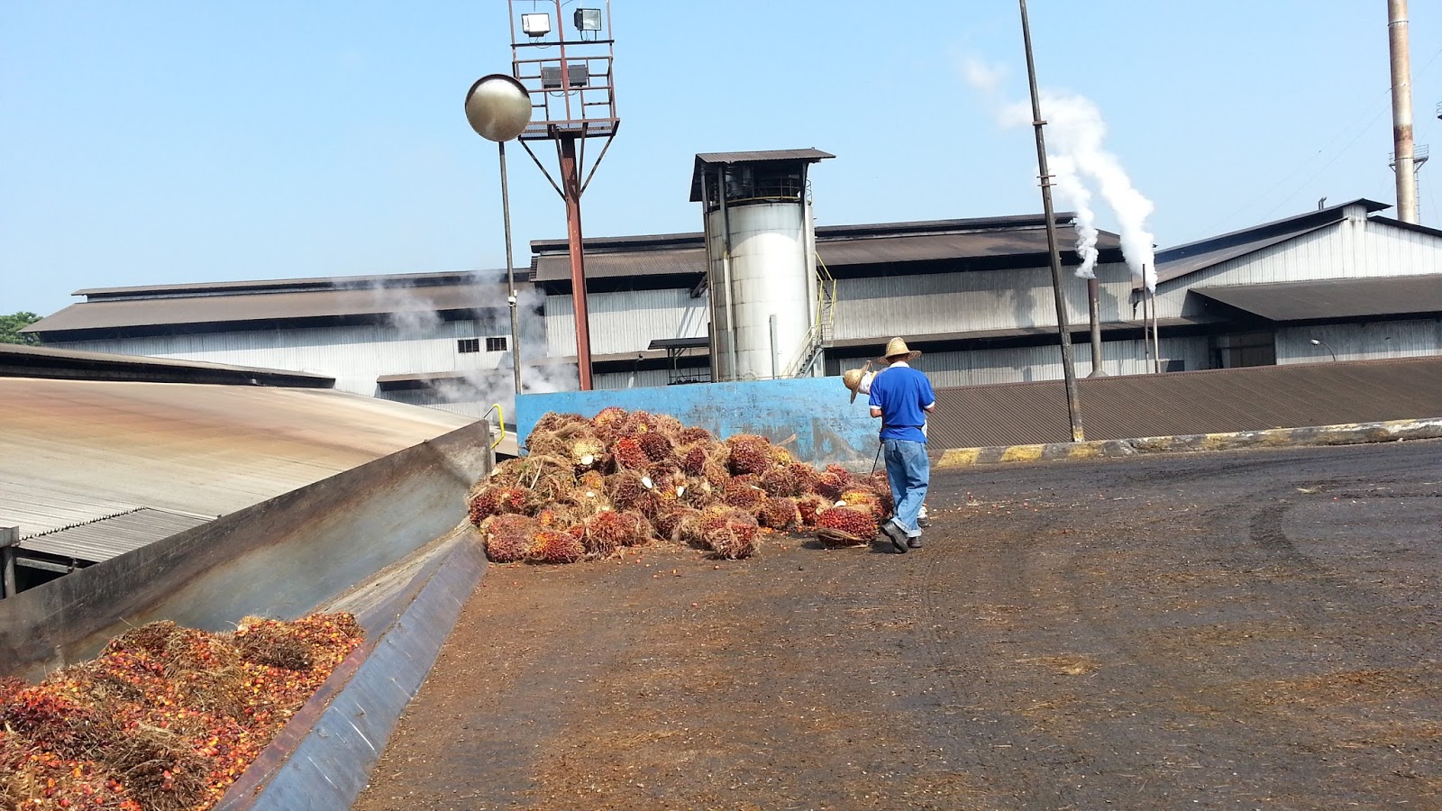 Sharing station: Weighbridge and loading ramp