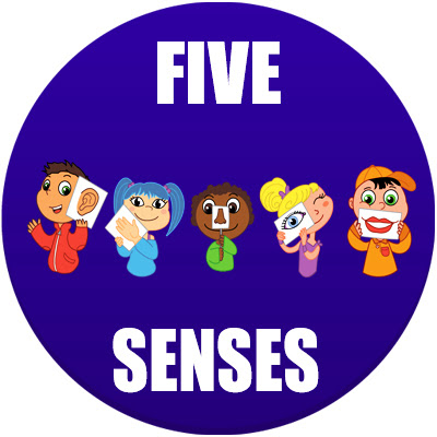 Five Senses in Spanish | Spanish to Go