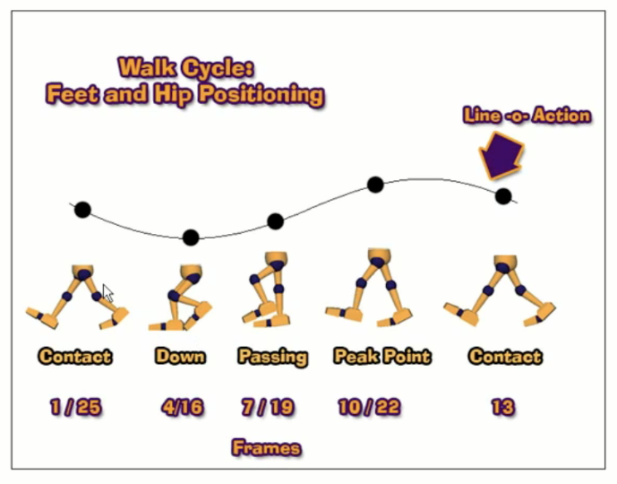 Rebecca Meilak: Animation Portfolio: Digital Tutors Walk Cycle: Week 4