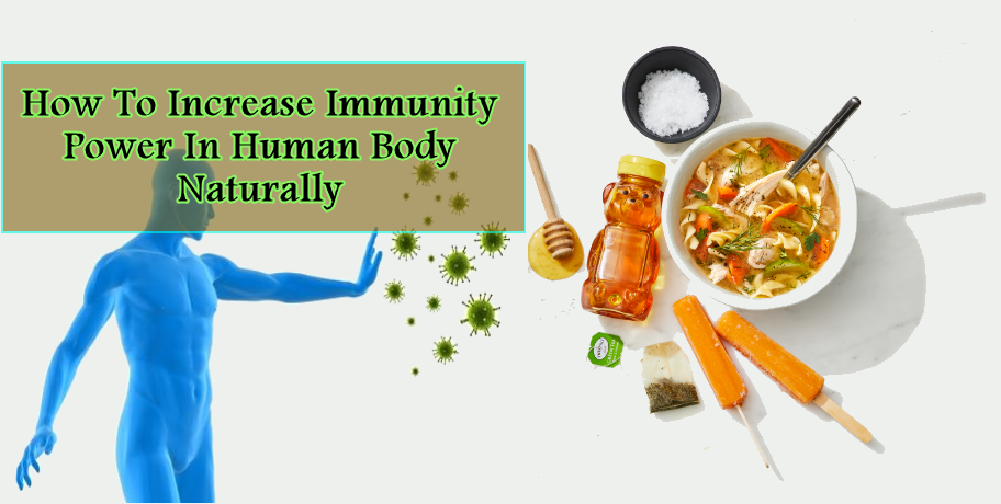 How to activate your immune system through basic diet - Ocean Of Health ...