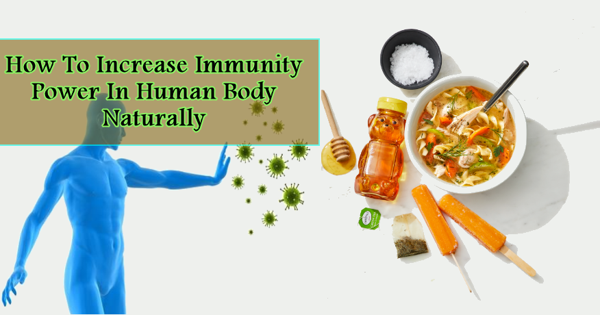 How to activate your immune system through basic diet - Ocean Of Health ...