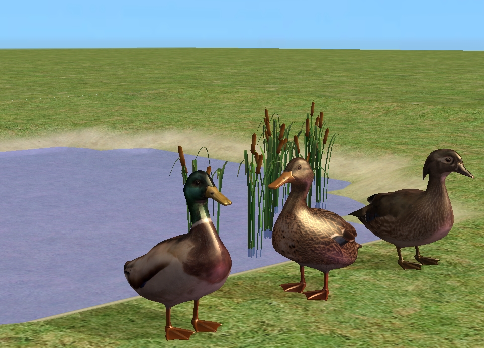 TheNinthWaveSims: The Sims 2 - Decorative Ducks