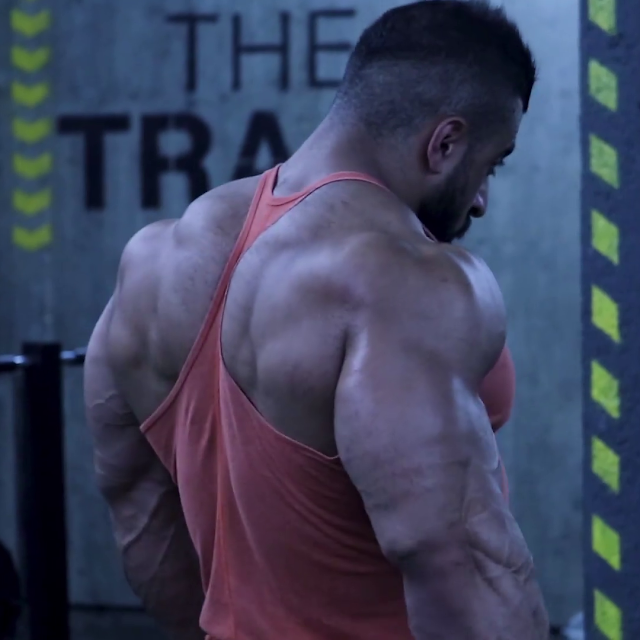 Muscle Lover: The Jordanian muscle machine - IFBB Pro bodybuilder ...