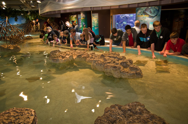 Aquarium News and Updates