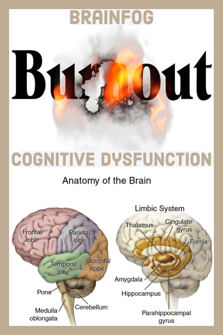 Brainfog: Cognitive Dysfunction
