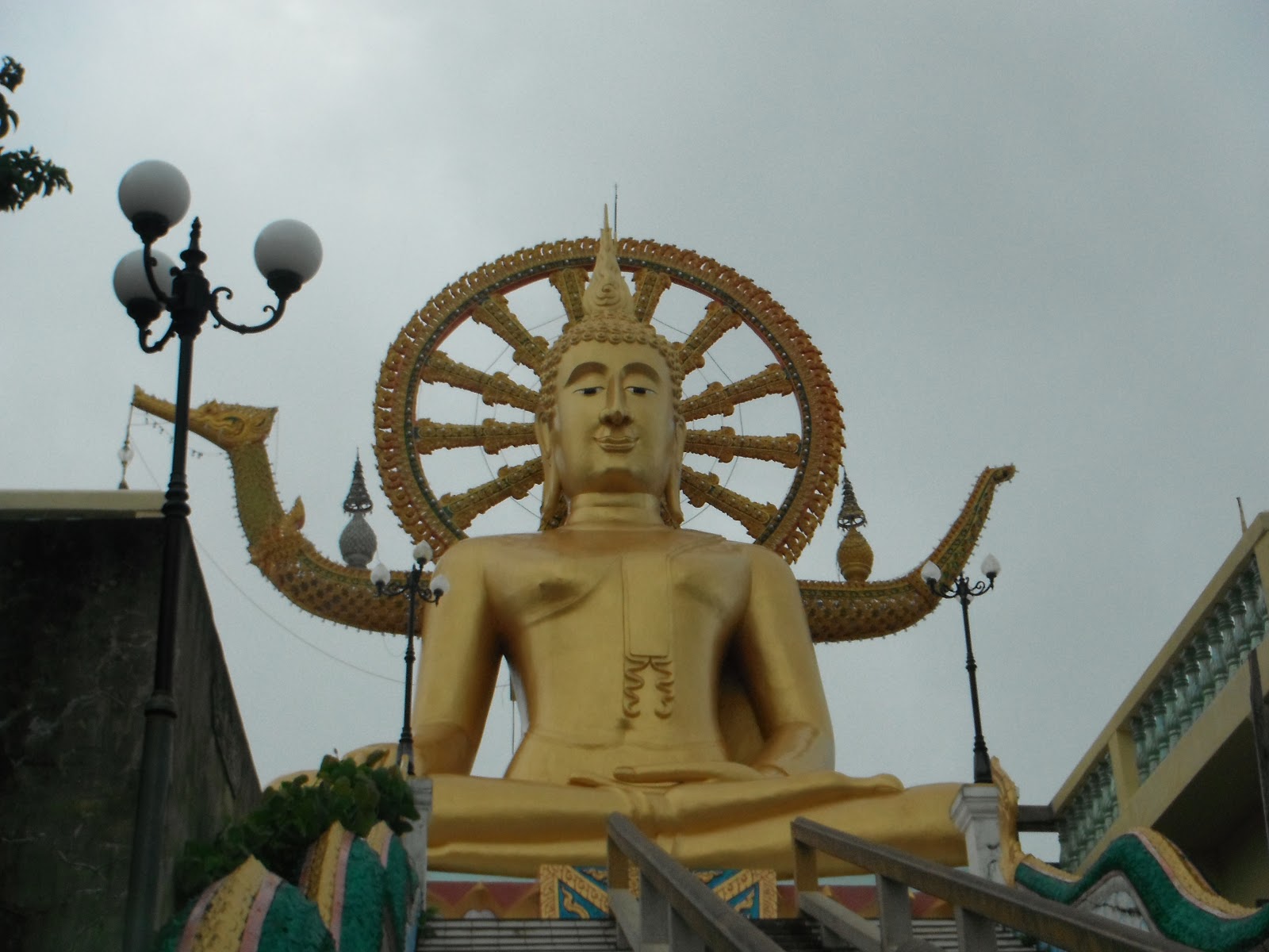 The Pad Thai Diaries: "Sawadee Khrap"