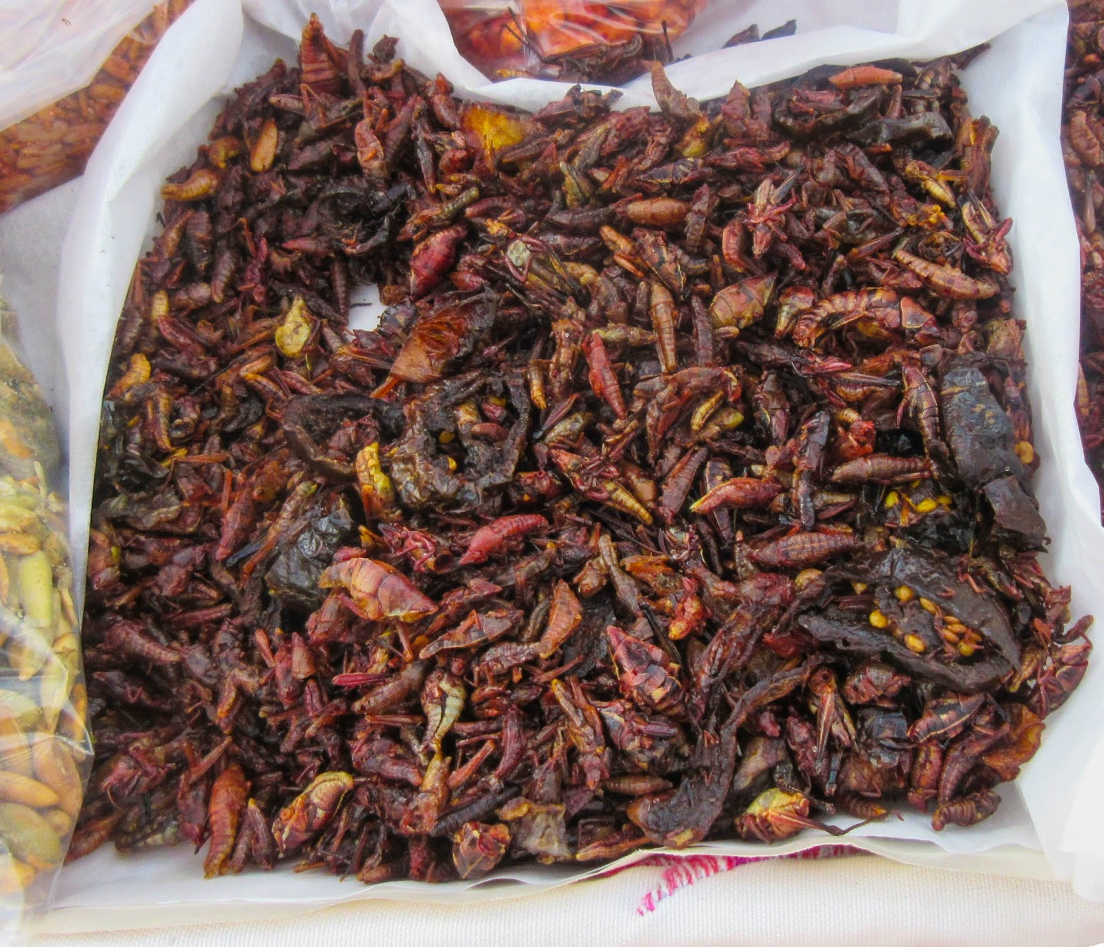 Cannundrums: Chapulines (Grasshopper) Taco