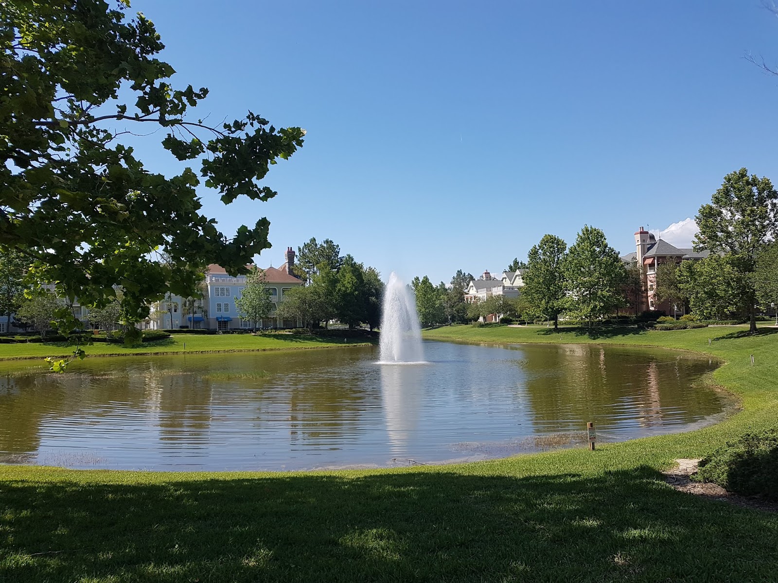 Little Miss Disney: 2019