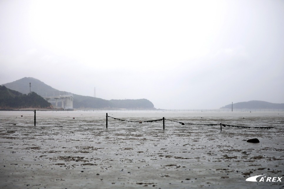 AREX: [Incheon] Yeongjongdo Masian Mudflat Experience