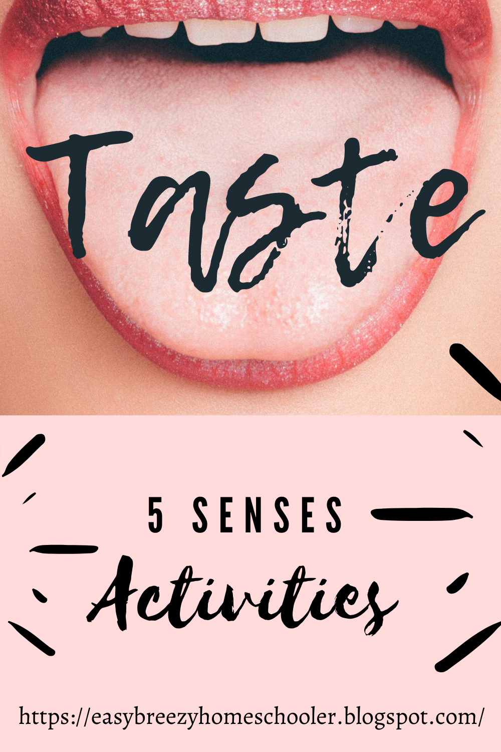 Easy Breezy Homeschooler: Sense of Taste 5 Senses Activities