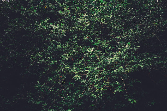 free stock(royalty and copyright free) images for your templates ...