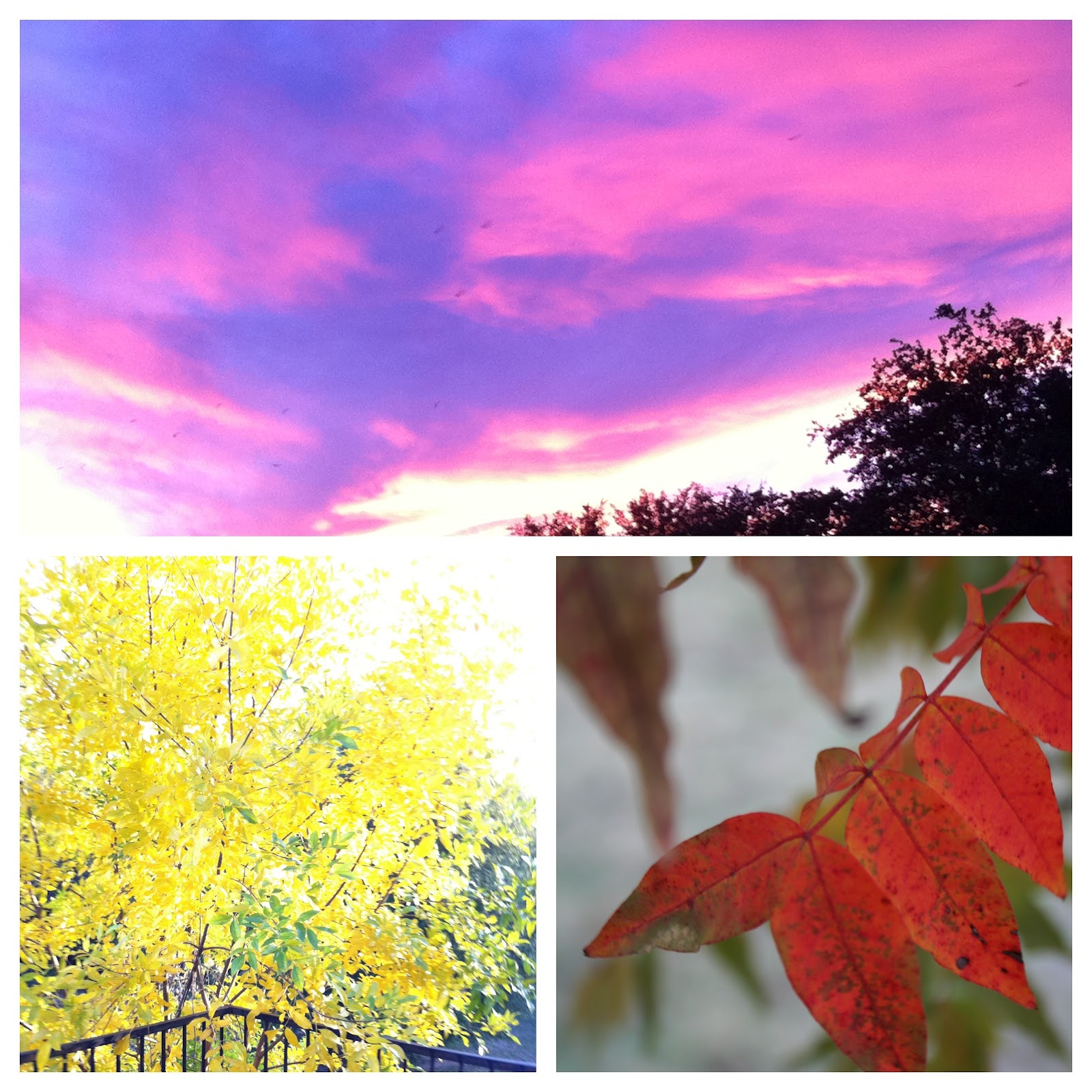 Redneck Haiku: Life in Poetry... Texas