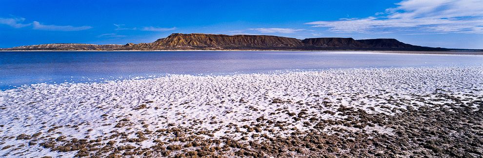 ¡La Hermosa Península de Araya, Estado Sucre! - Ventur Destinos