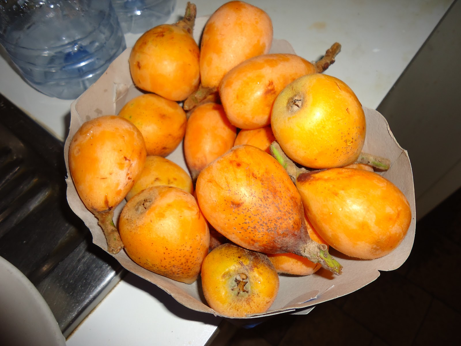 domus-wolf: Fruits d'Algérie de Printemps.