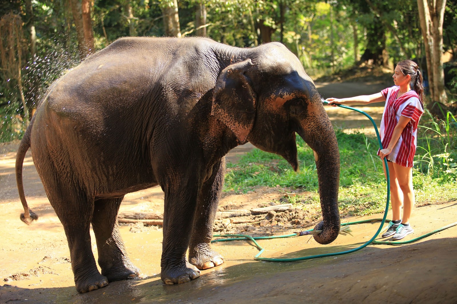 Jessie & Jake: Honeymoon Thailand: Patara Elephant Farm