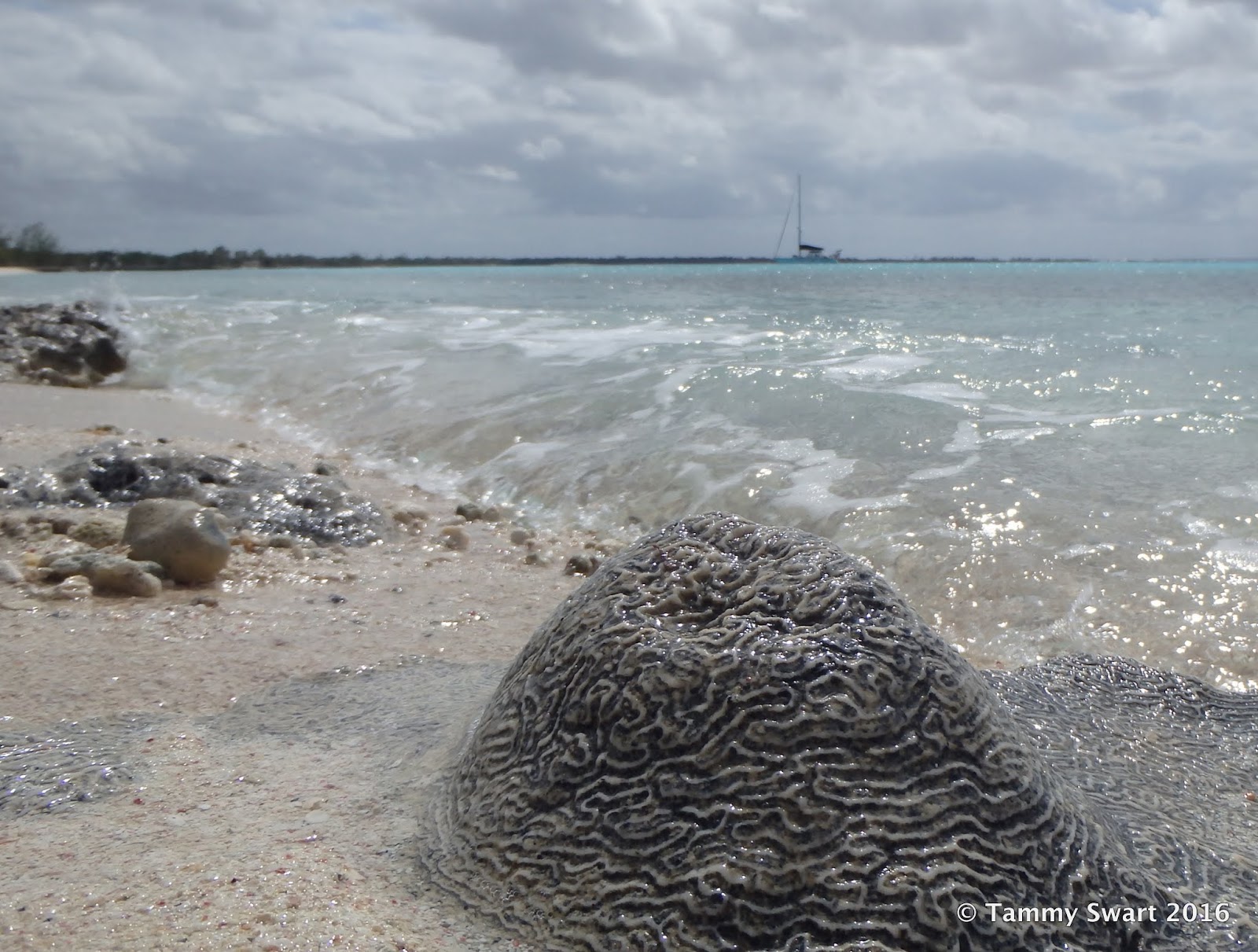 Things we did today...: Great Inagua Far Bahamas