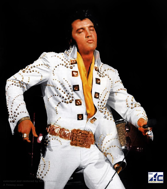 Elvis Presley . . . : Jumpsuit - Comet vel Adonis