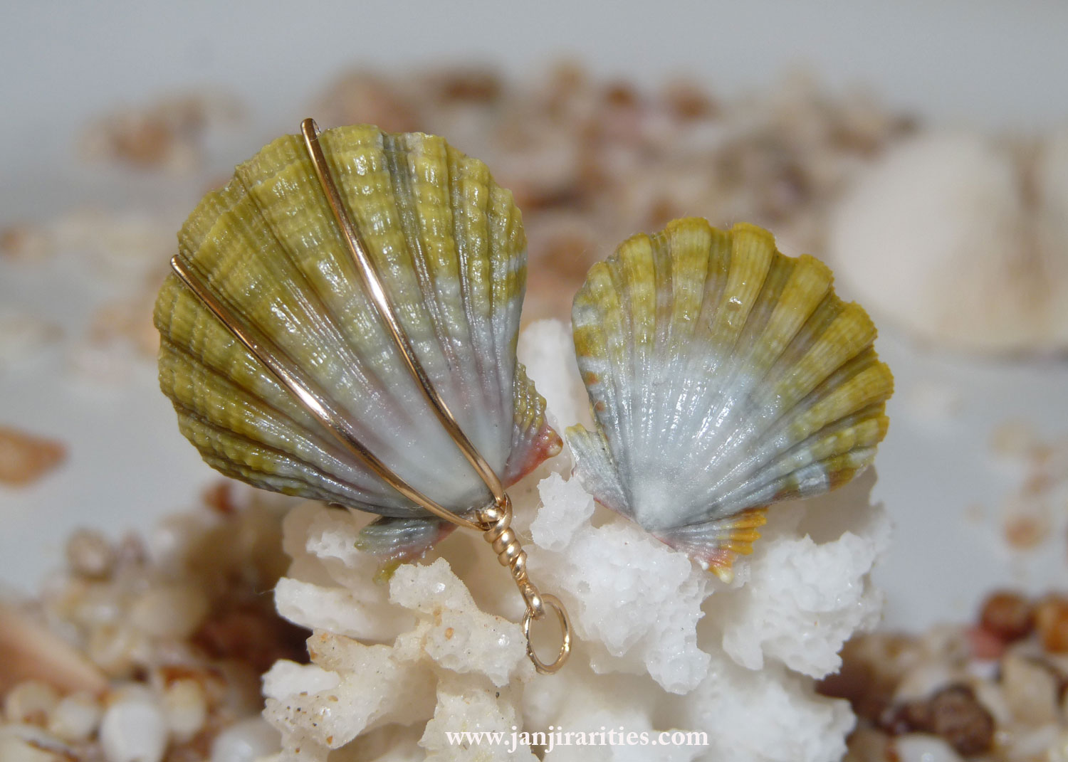 Kahelelani & Sunrise shell jewelry by.... Janjira: Sunrise & Moonrise ...