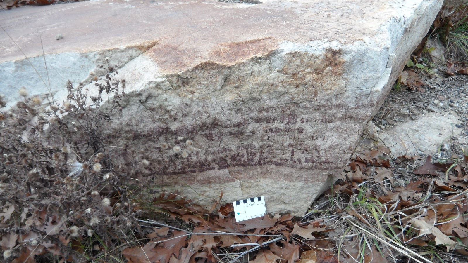 Fossils and Geology of Lanark County, Ontario: “Perth stone” Purple ...