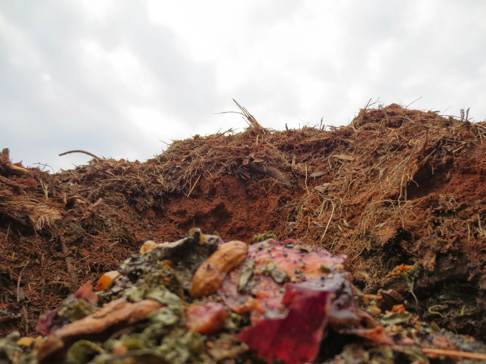Epiphany Now: Pit Composting