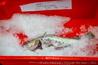 Through the Gaps! - Newlyn Fishing News: First online fish auction of ...