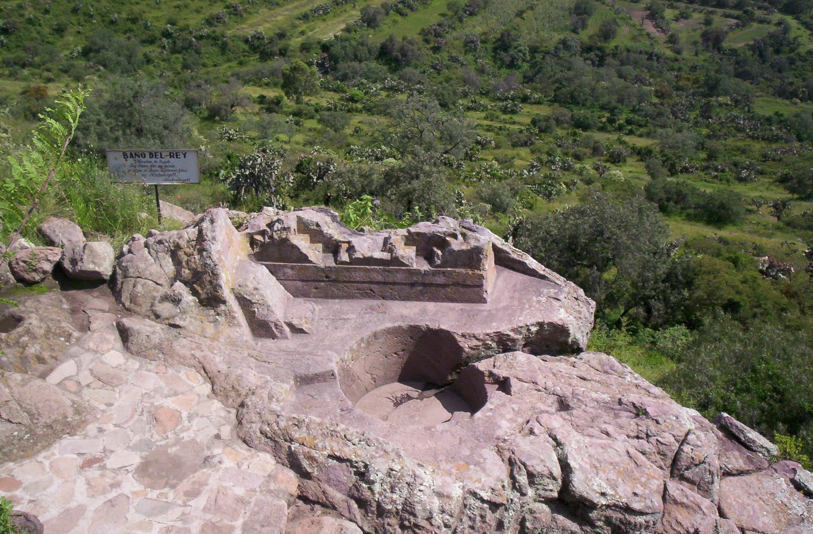 Club de Amig@s de los Ahuehuetes