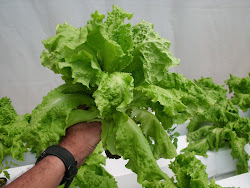 Preparatoria Oficial Numero126 PROYECTO "ECO126": BIENVENIDOS