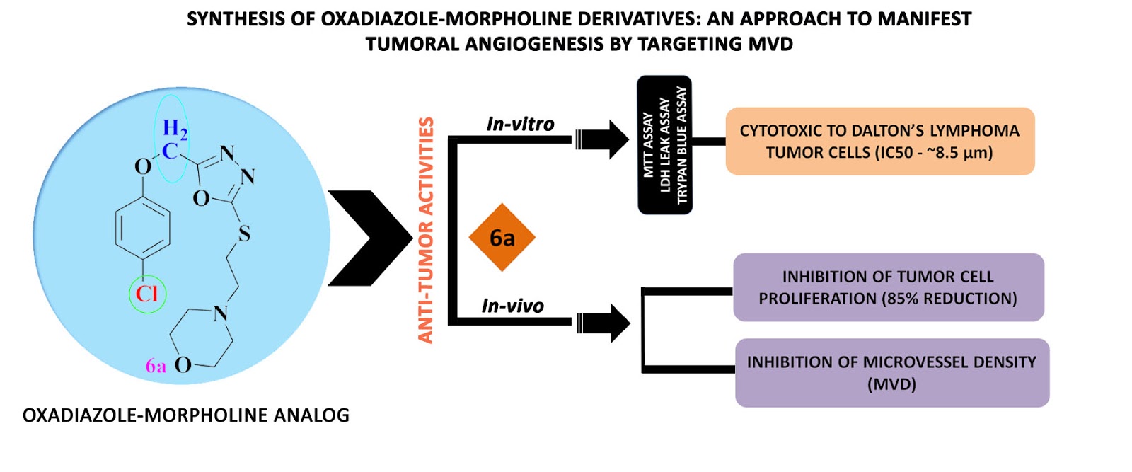 MOLECULAR BIOMEDICINE LABORATORY : Synthesis of Oxadiazole–Morpholine ...
