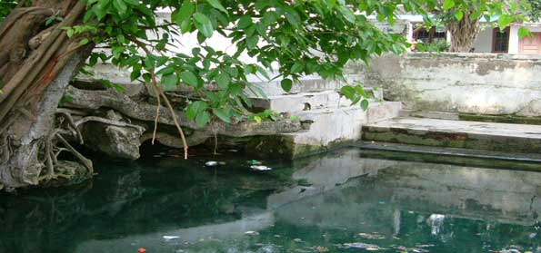 Kisah Nyata Pesugihan Bulus Jimbung Di Sekitar Kita - KHODAM LANGIT