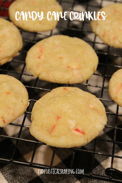 Fantastical Sharing of Recipes: Candy Cane Crinkles