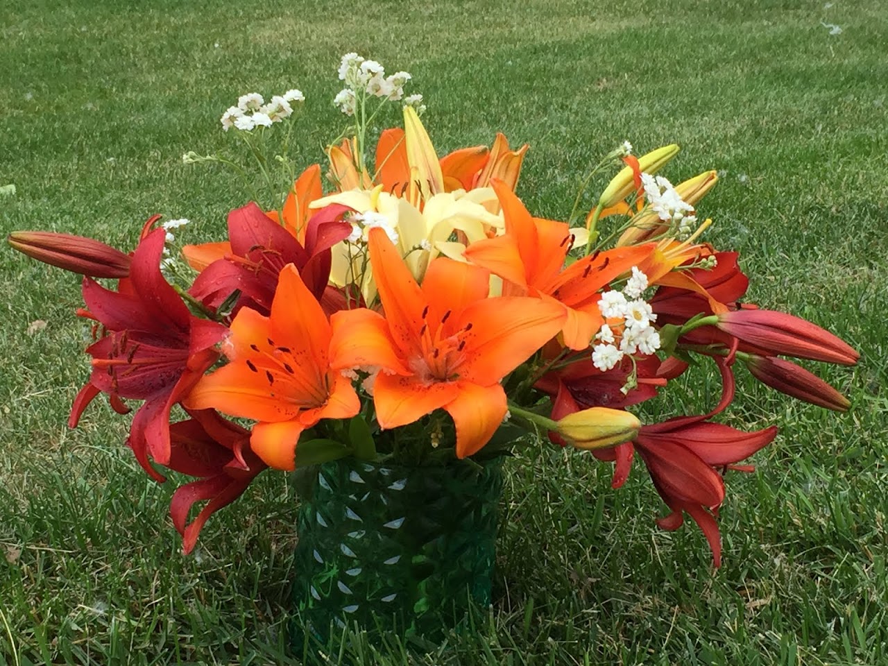 TESL 0130: Unit 4 - Learner Autonomy and Final Thoughts