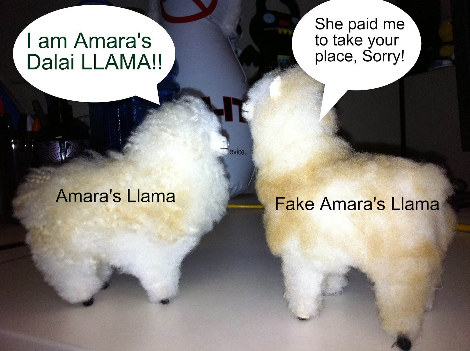 Amara's Kidnapped Llama