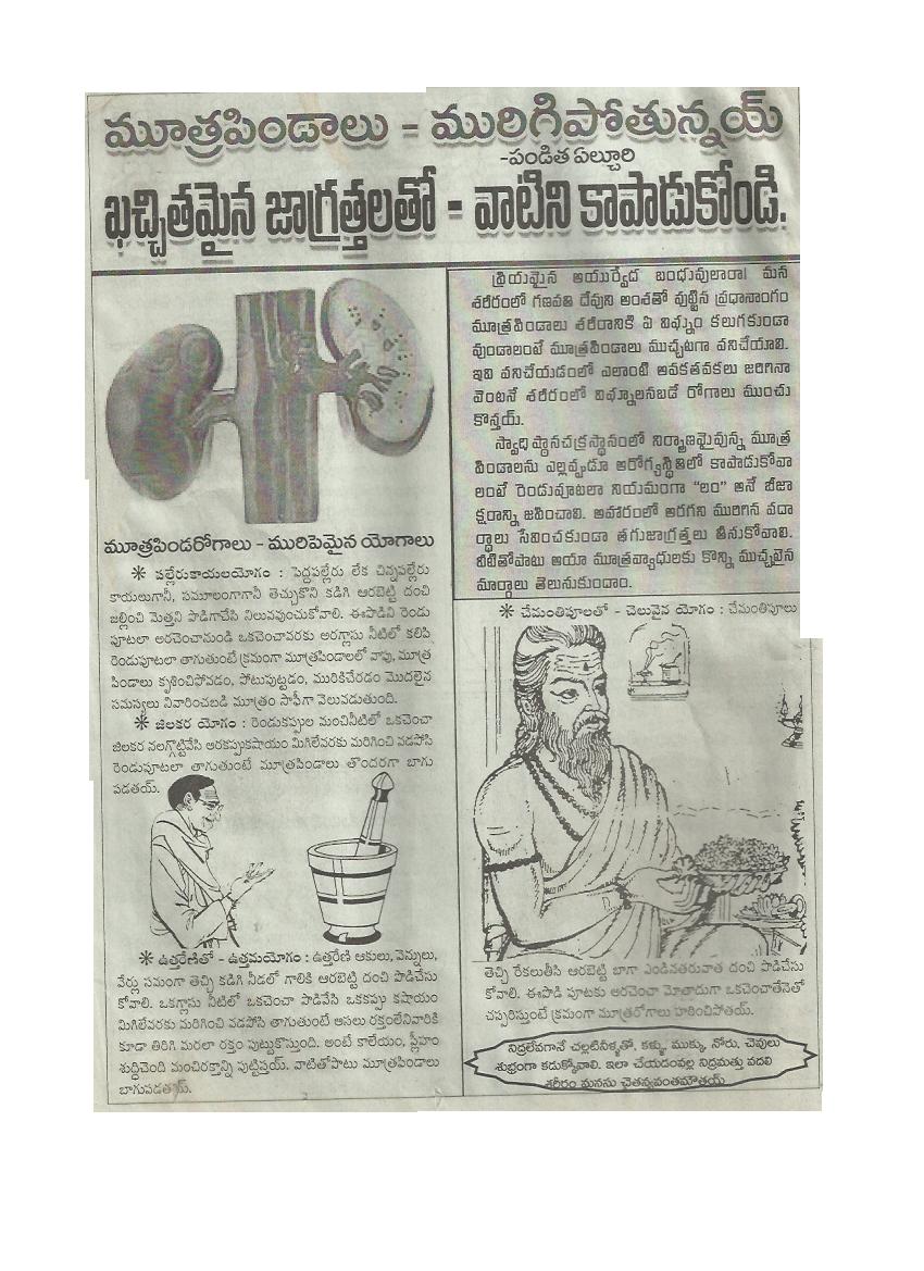AYURVEDAM - ఆయుర్వేదం: MOOTHRA PINDALU ( KIDNEYS ) - AYURVEDAM