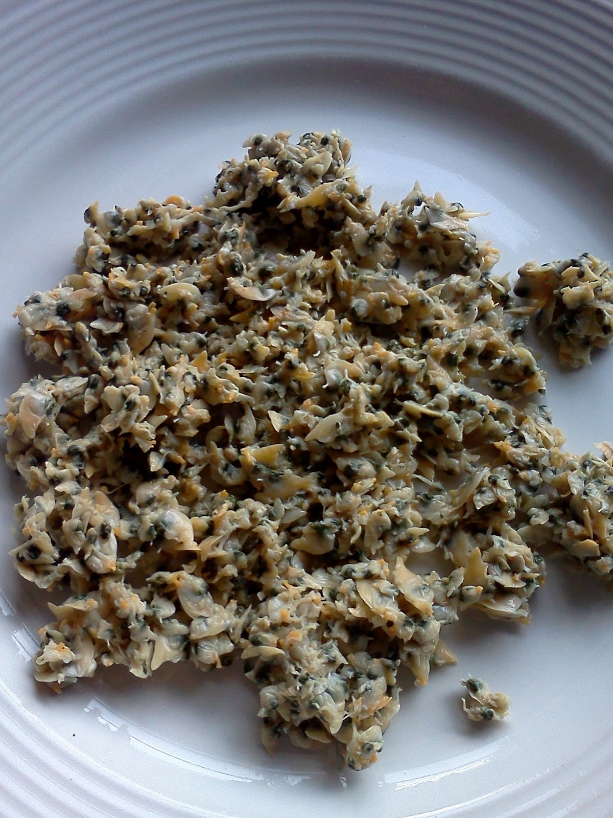 professor fish heads: The Ridiculously Small Bean Clam