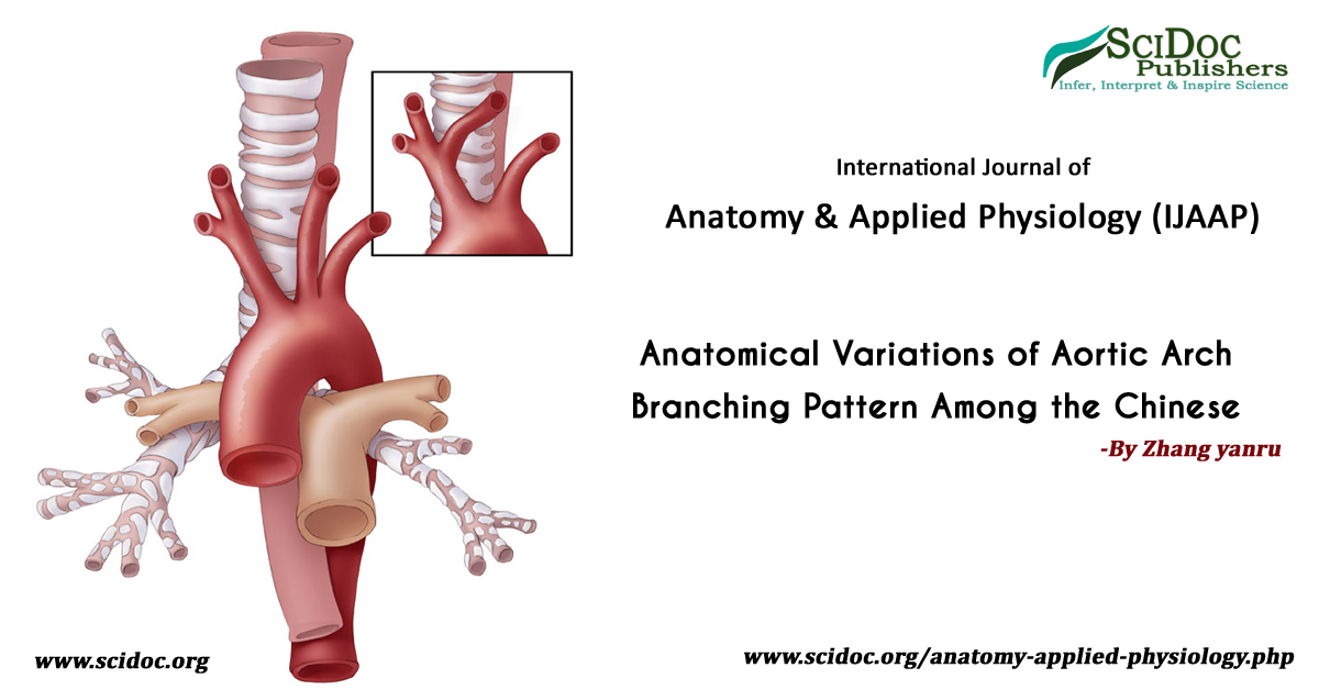 Anatomical Variations of Aortic Arch Branching Pattern Among the ...