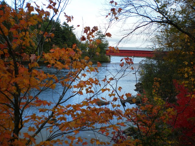 Automne au Québec: Meilleure période pour observer les couleurs