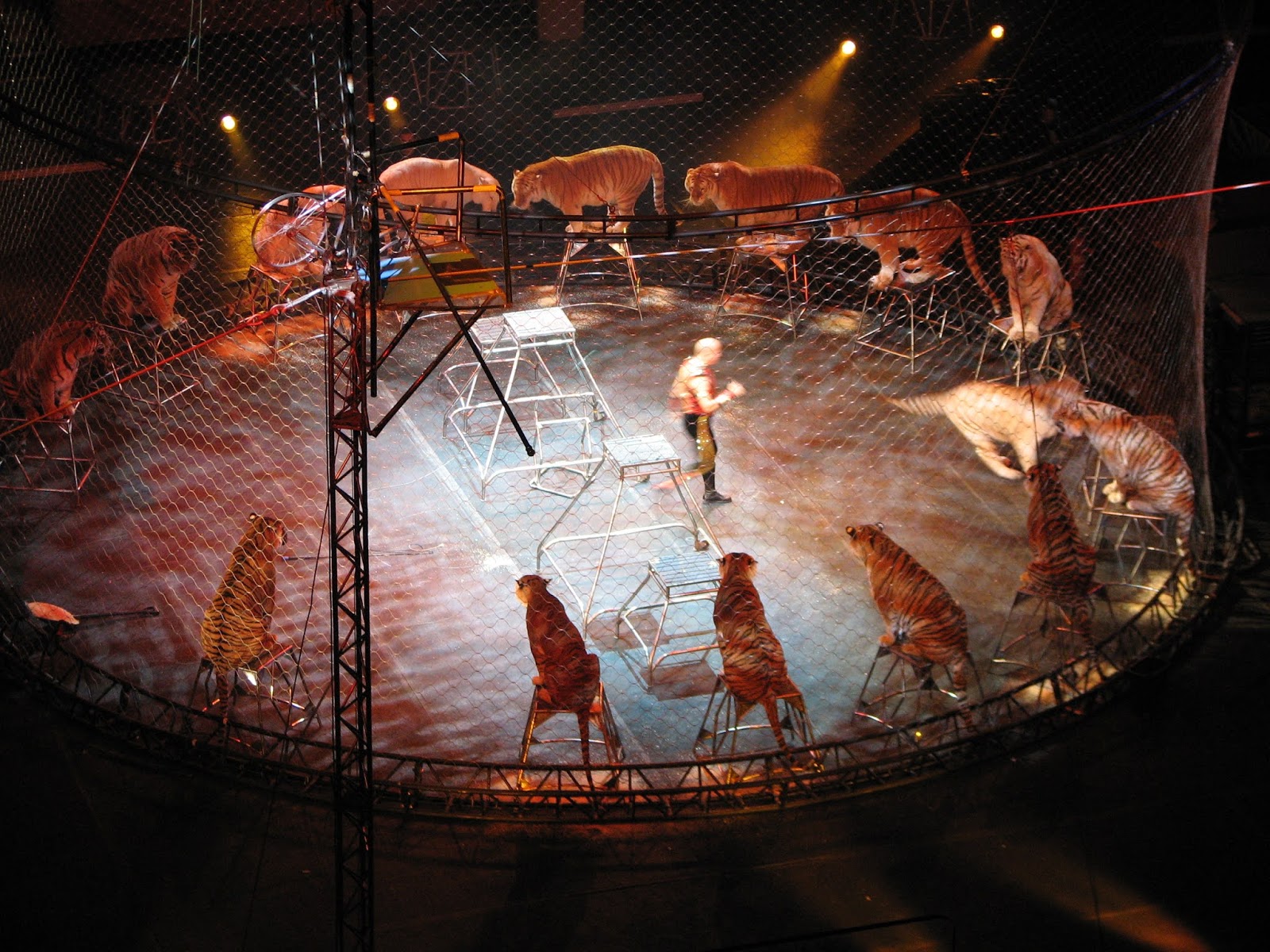 Bonao Internacional: RECORDANDO EL DESAPARECIDO CIRCO RINGLING BROS ...