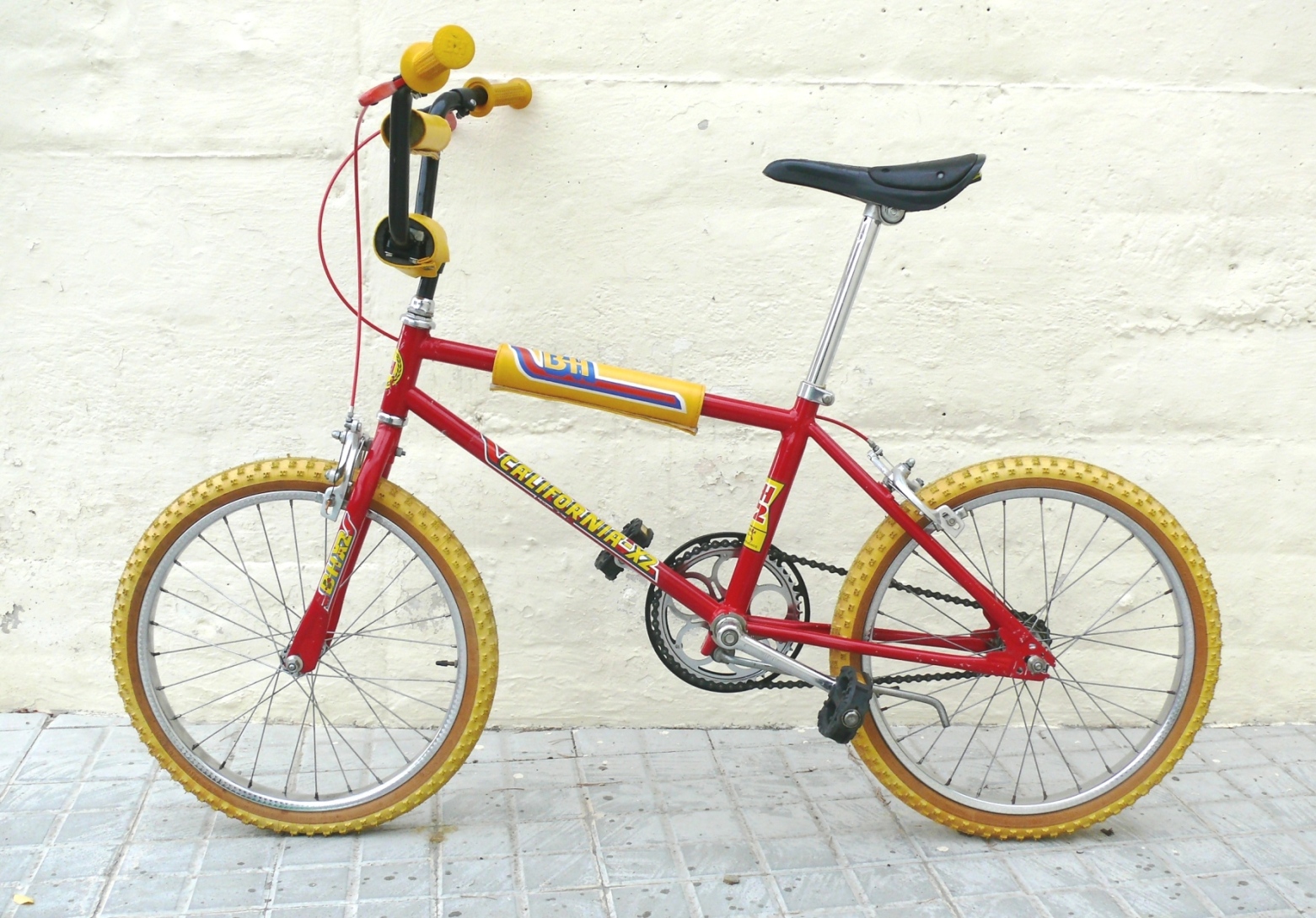 bicinova2: - BH California X2