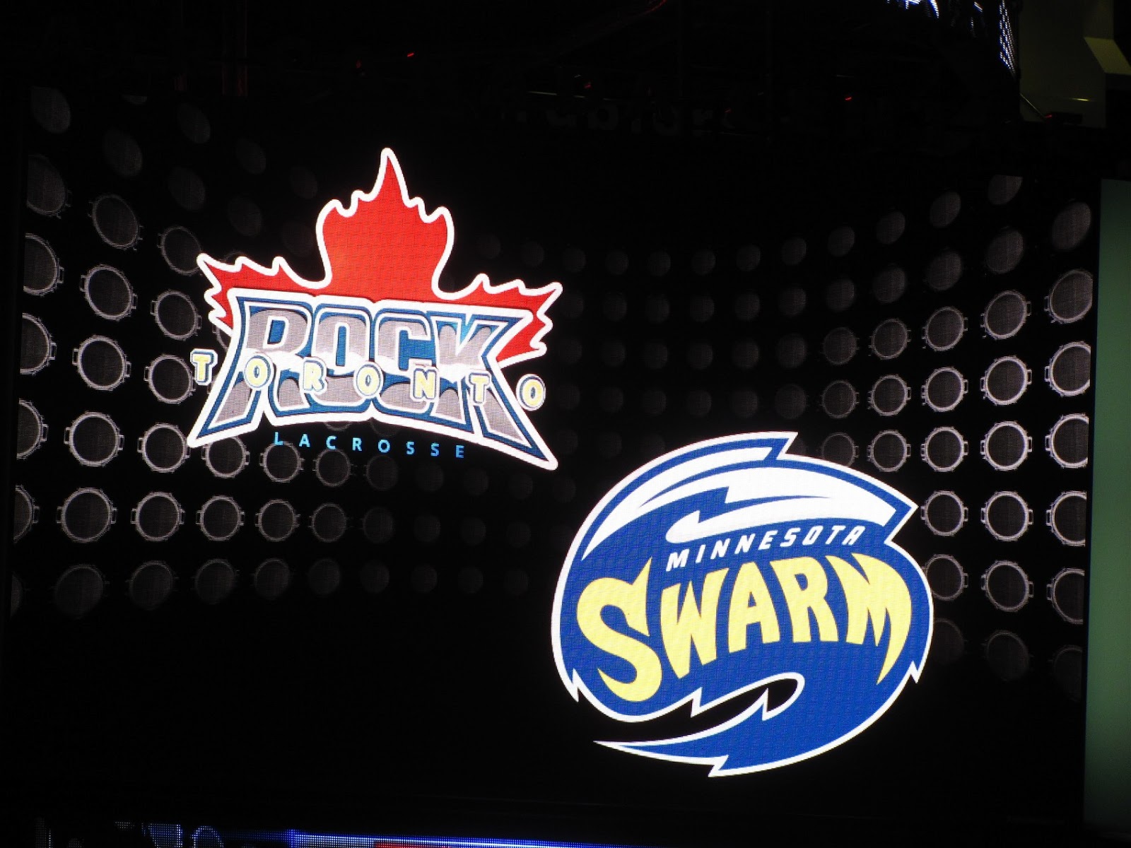 The World of Gord: Minnesota Swarm Cancels Rocks Party