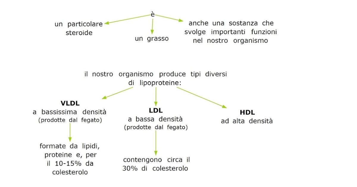 Paradiso delle mappe: Il colesterolo