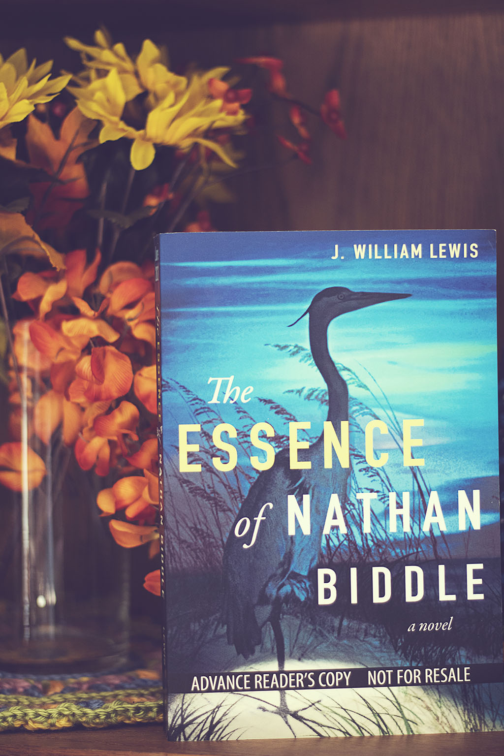 Diary of a Stay at Home Mom: { The Essence of Nathan Biddle by J ...