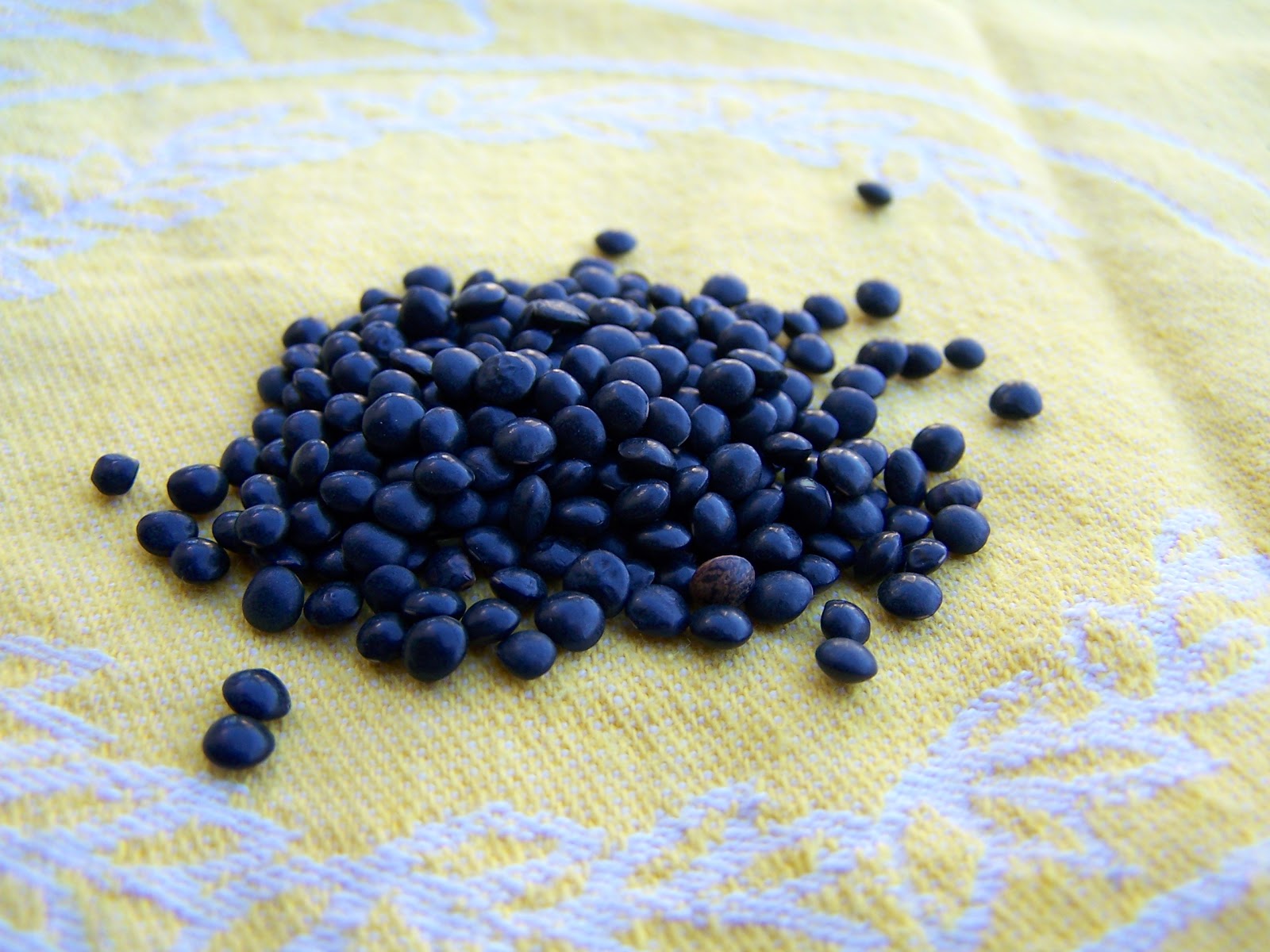 Black Lentils - Treading Lightly