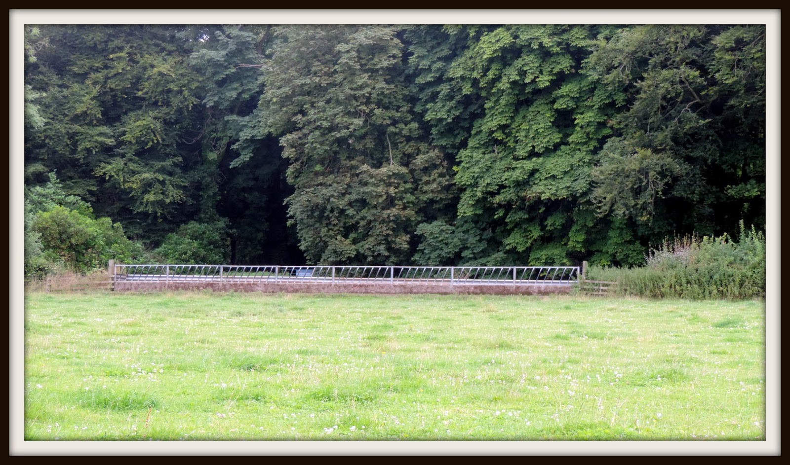 The Glebe Blog: Wigtownshire Ramblers Stoneykirk Circular August 2013